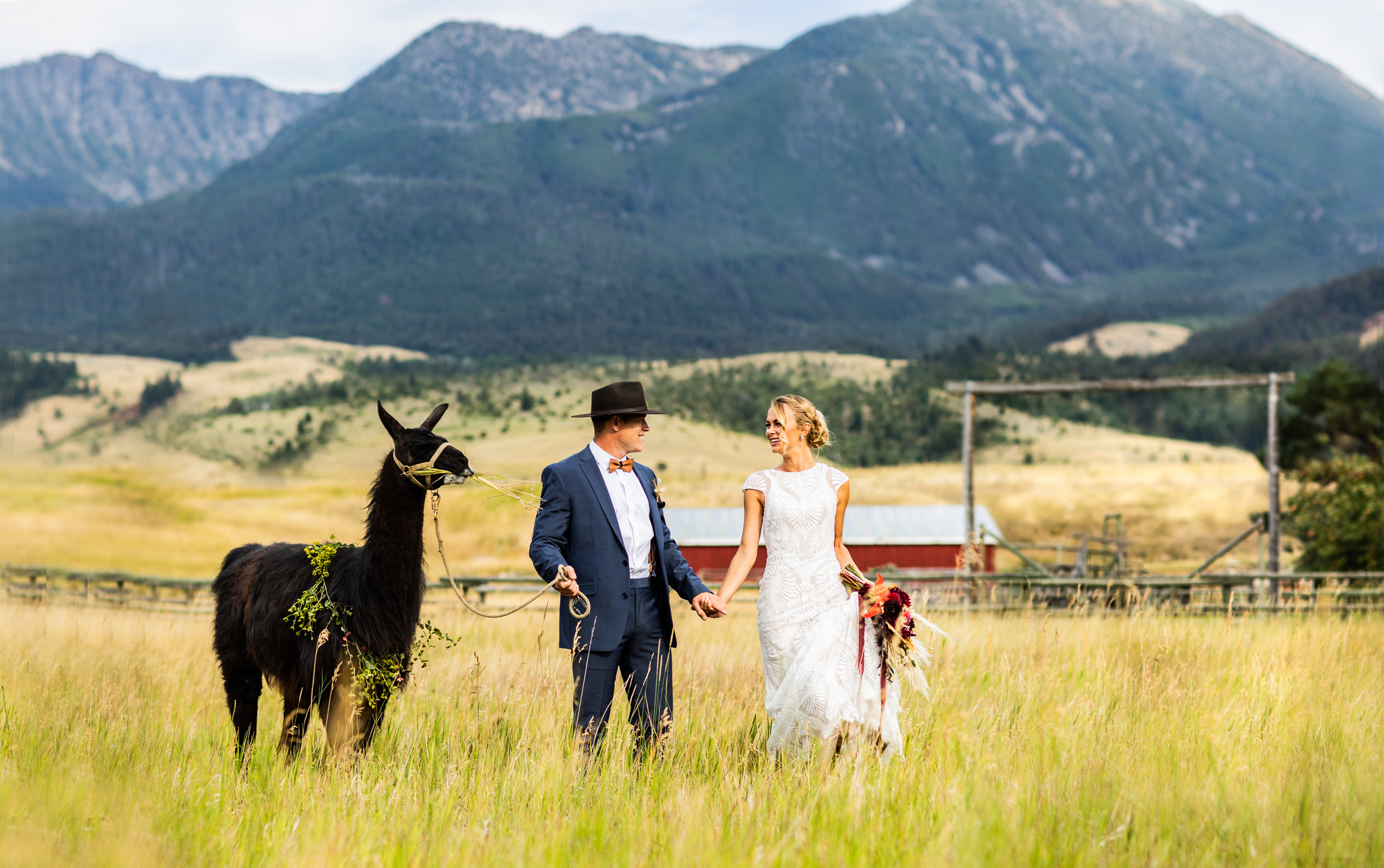 Gallery | Copper Rose Ranch